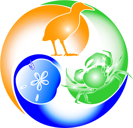 2026e :: fauna_ryukyuana